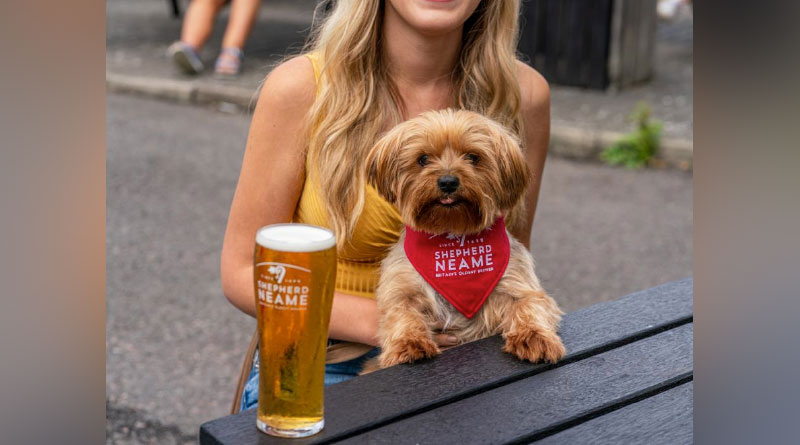 Brewer Launches its First Pop-Up Dog ‘Pub’ at Paws in the Park